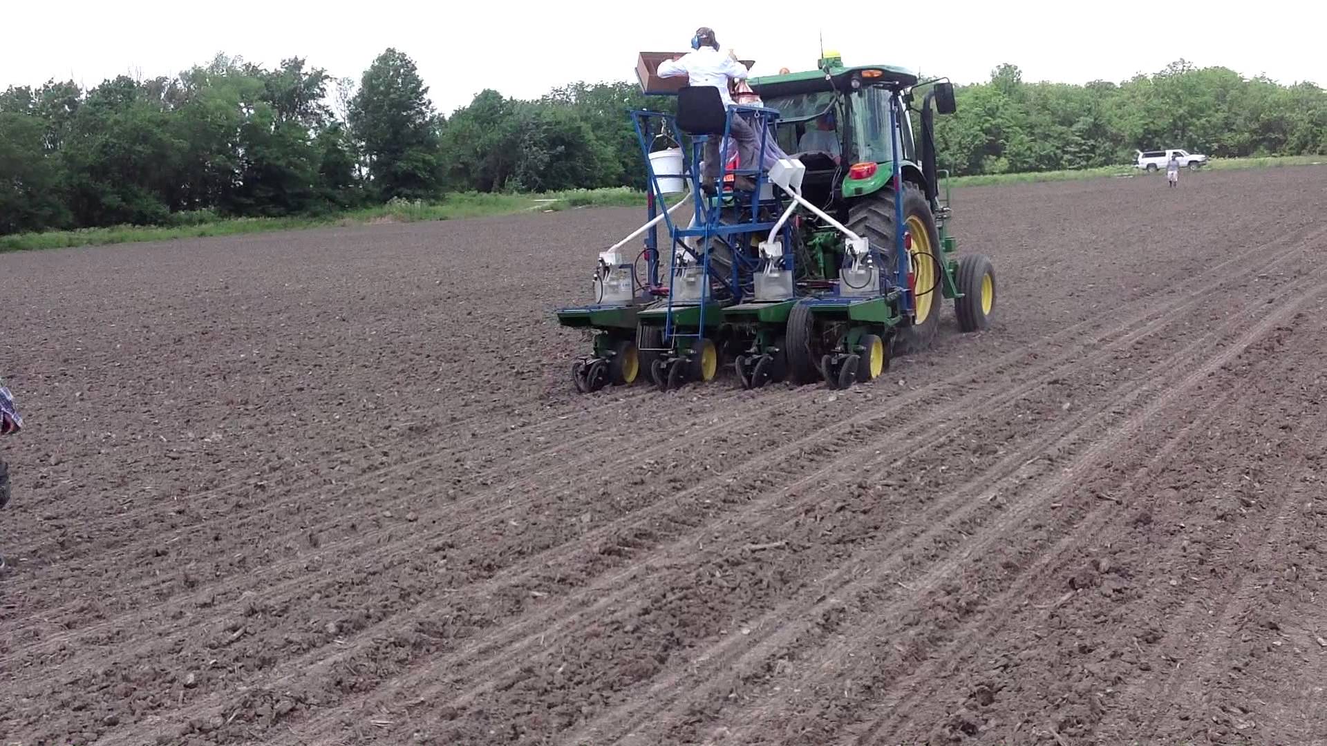 Soybean Test Plot Update – BigYield