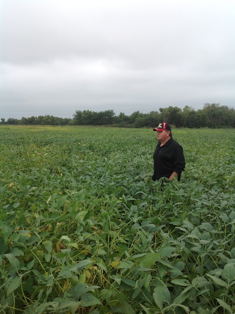 A Look at our Soybean Crop Throughout the Year – BigYield