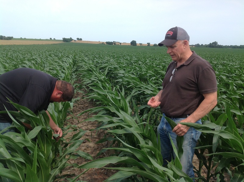 A Look at our Corn Crop Throughout the Year – BigYield