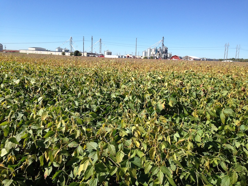 Another Look at the 2013 Soybean Crop – BigYield