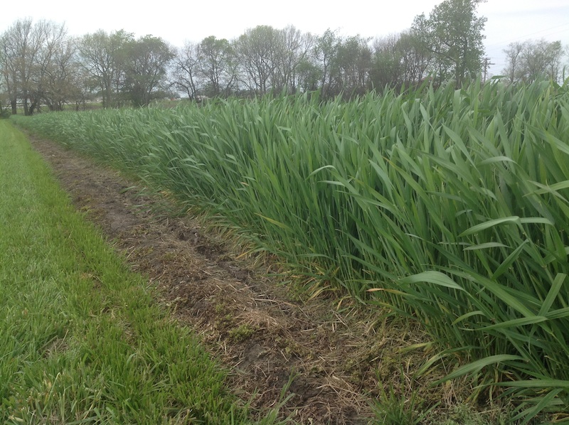 Remembering the 2013 Season – BigYield