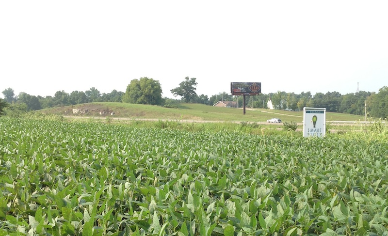 Best 2013 Soybean Pictures – BigYield