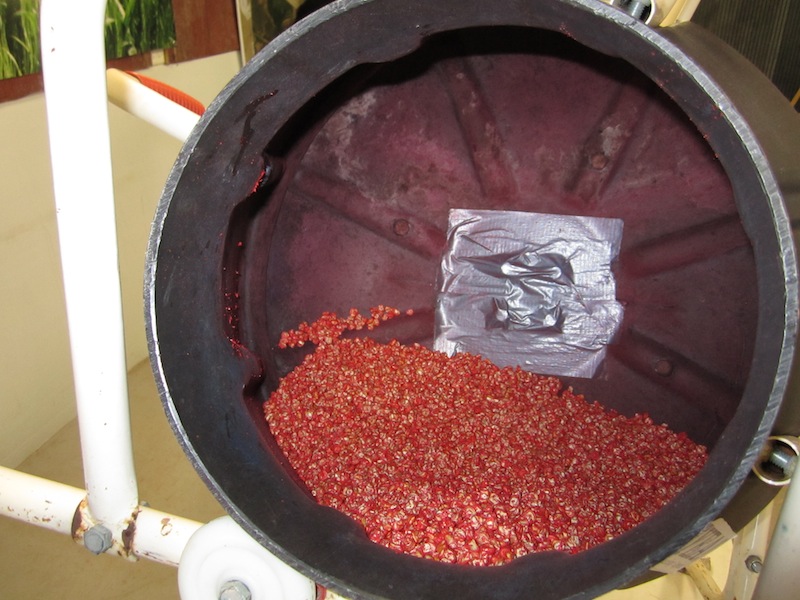 Corn Seed Treating on The Research Farm – BigYield