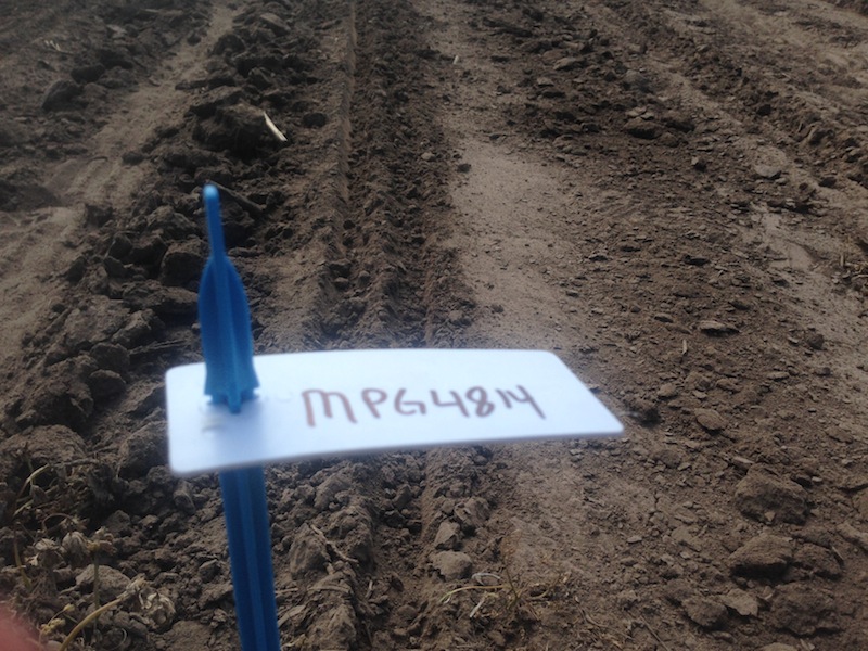 Planting a Soybean Test Plot at The Farm Research Center – BigYield