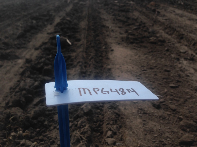 Planting a Soybean Test Plot at The Farm Research Center – BigYield