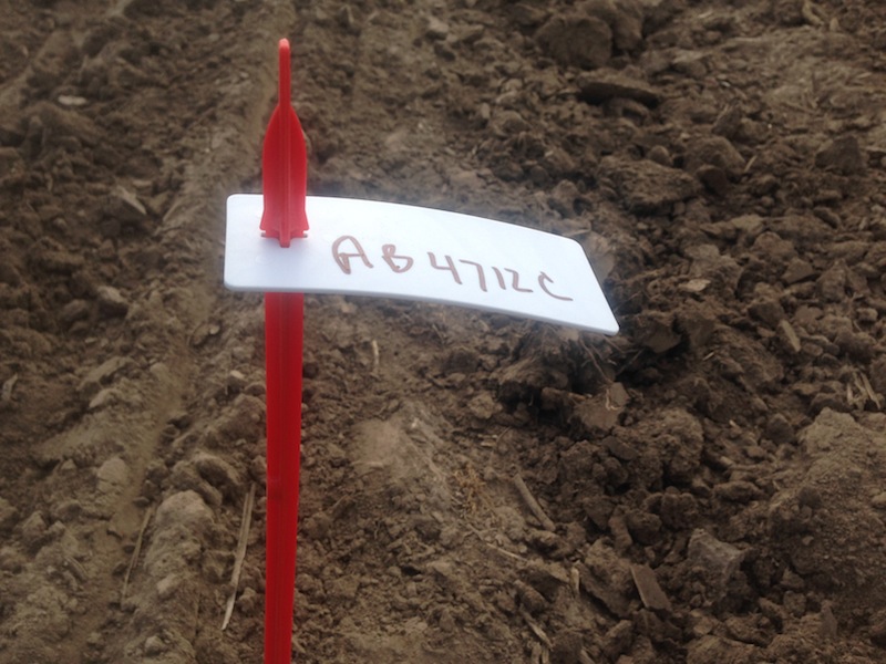 Planting a Soybean Test Plot at The Farm Research Center – BigYield