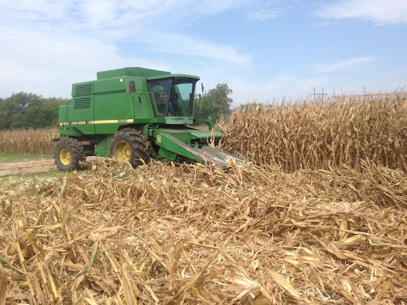 Corn Harvest at The Farm Research Center – BigYield