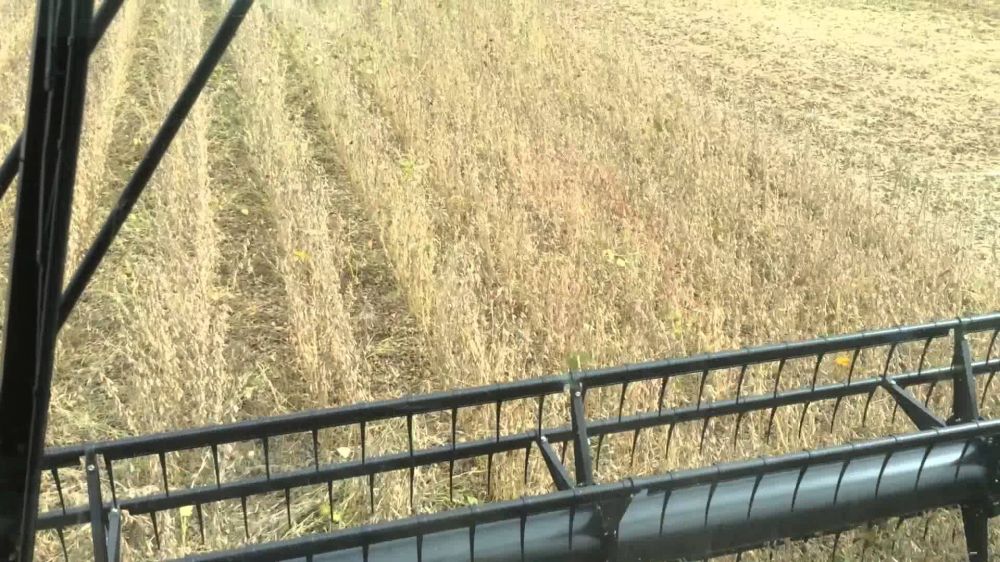 Soybeans Plot Harvest 2014 – BigYield