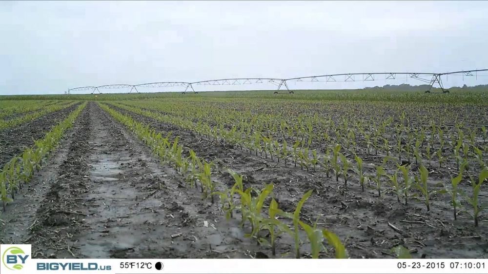 Corn Time Lapse Showing May Rainfall – BigYield