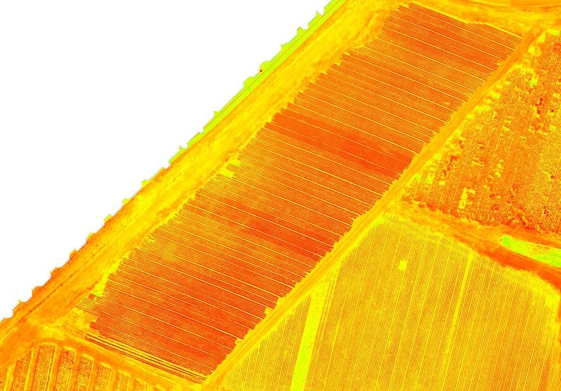 BigYield.us Partners with AgTech to Use NIR Imagery and Measure Plant ...