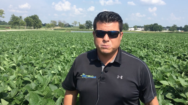 Yield Booster Application Options Bigyield