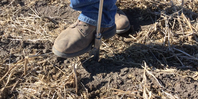 Haney Test Adds Soil Health Perspective to Soil Testing – BigYield