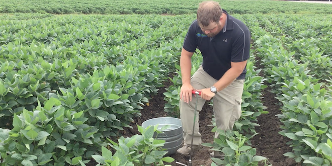 Haney Test at BigYield.us – BigYield