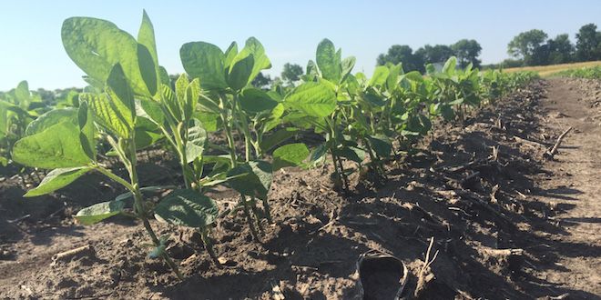 Cut Costs, Not Corners – BigYield Cut Costs, Not Corners – BigYield