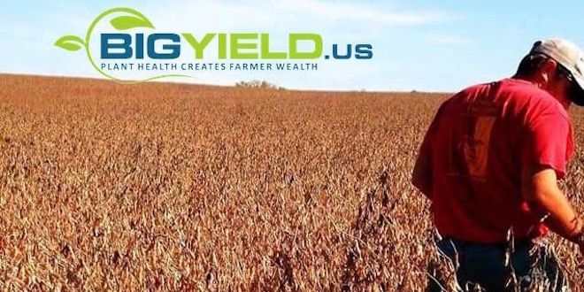 BigYield Consultant Profile: Brandon Milliron – BigYield