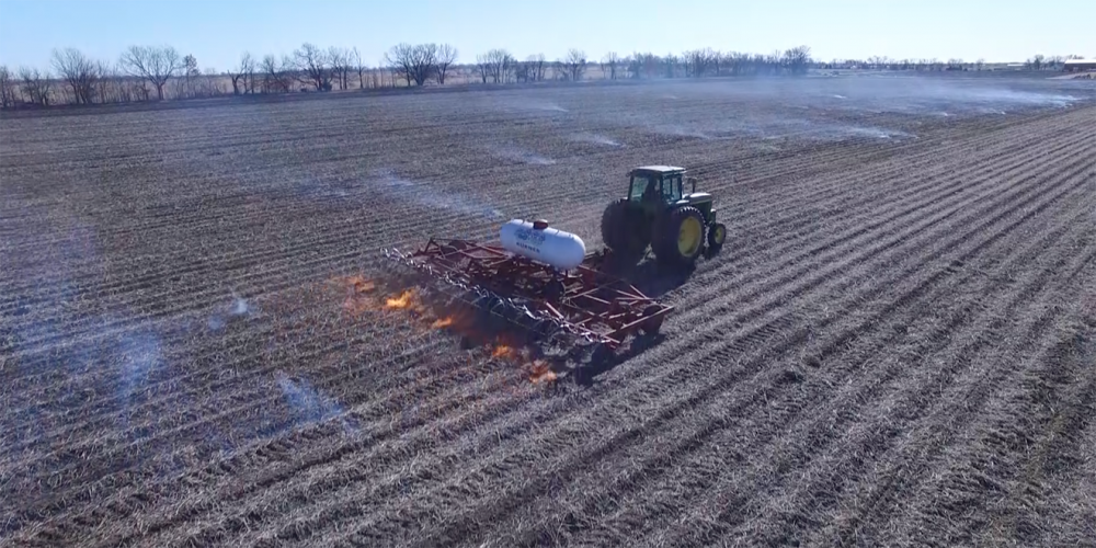 Burn in the Fall for Spring Weed Control – BigYield