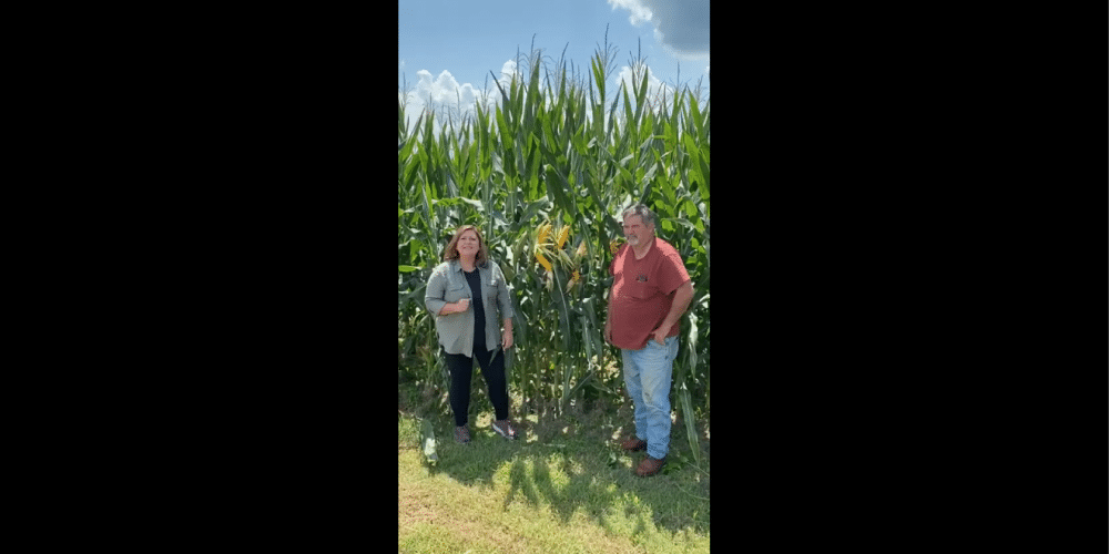 Dexter Jones Discusses His BigYield Corn Program – BigYield