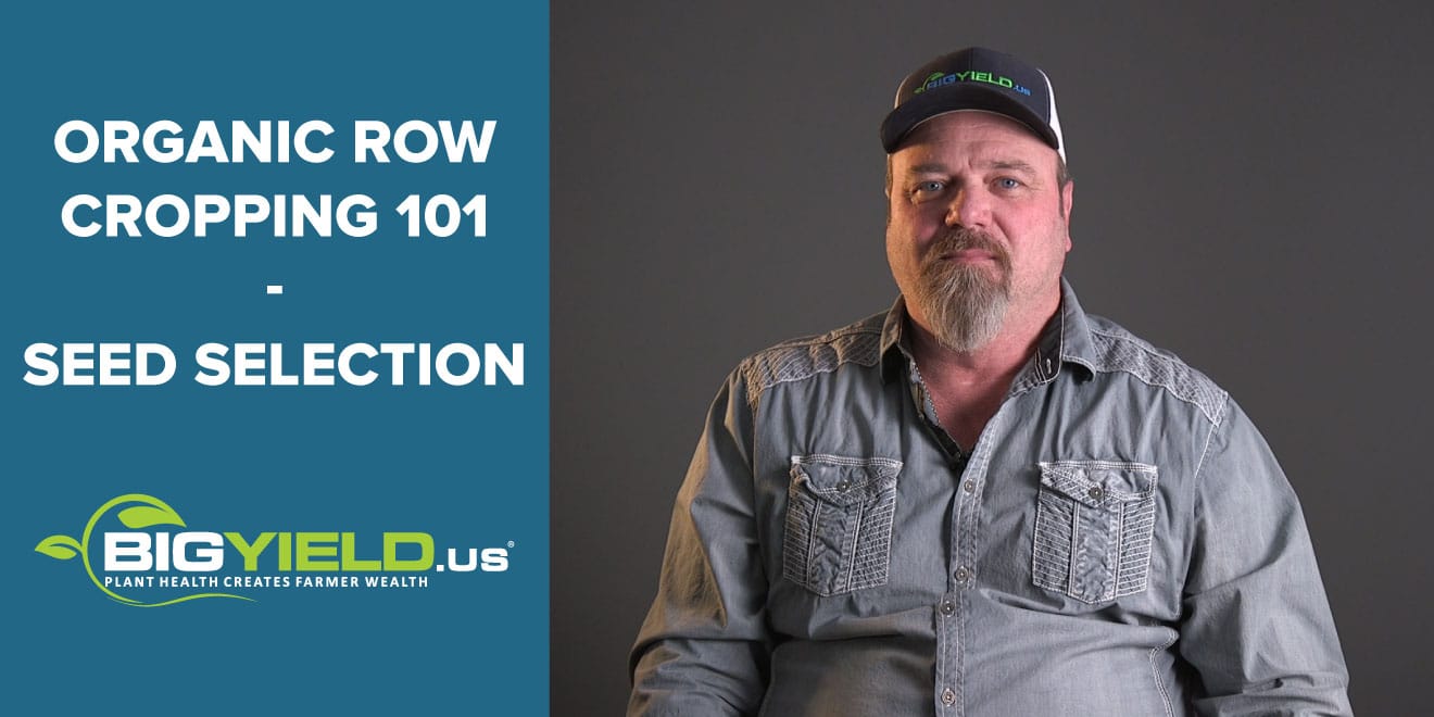 Seed Selection | Organic Row Cropping 101 – BigYield