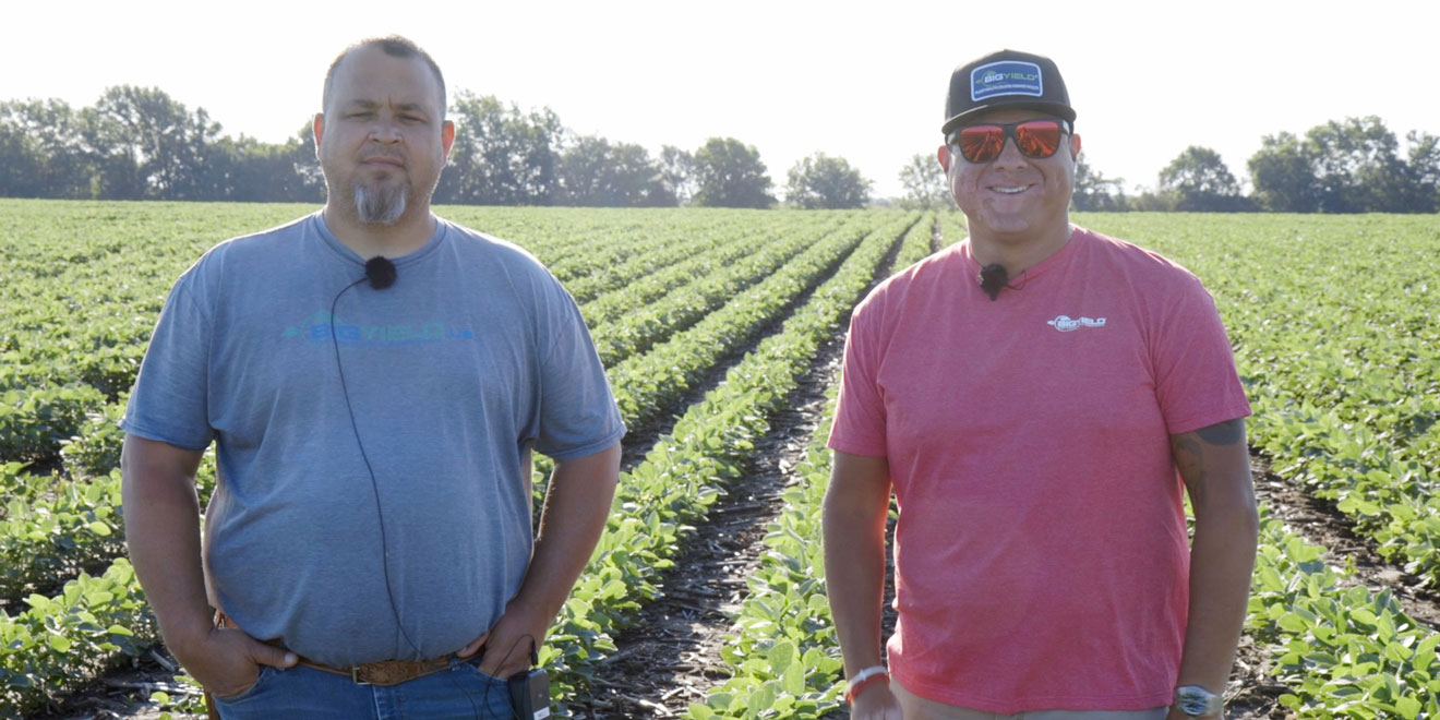 BigYield – High Yield Soybeans, High Yield Corn, and High Yield Wheat